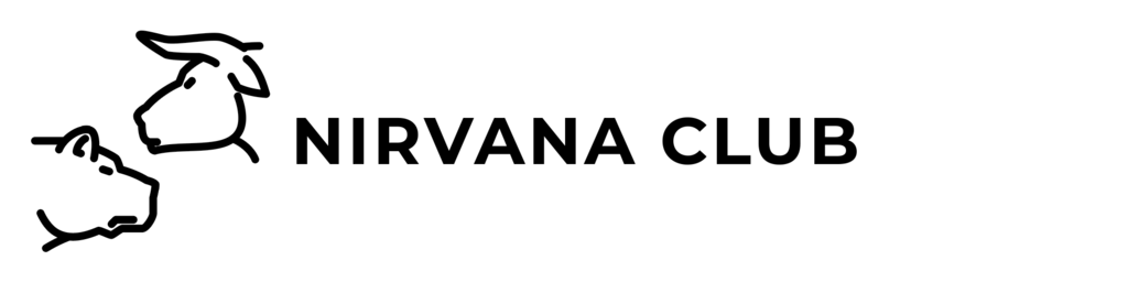 Nirvana Systems New | Nirvana Systems Inc.