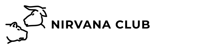 About Nirvana Systems | Nirvana Systems Inc.